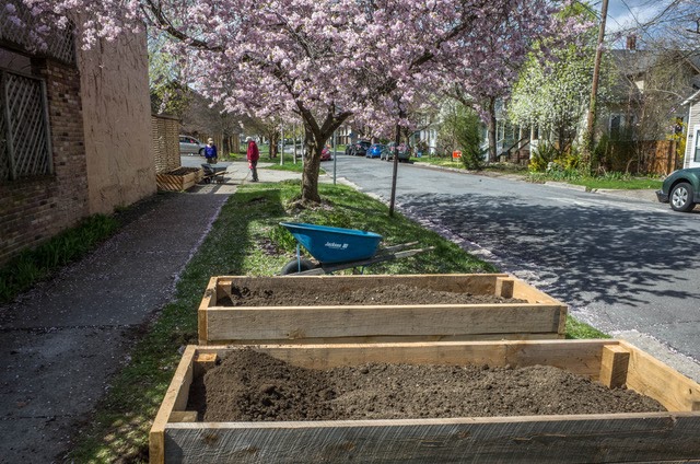 Project Abundance Germinates | Ithaca Monthly Meeting